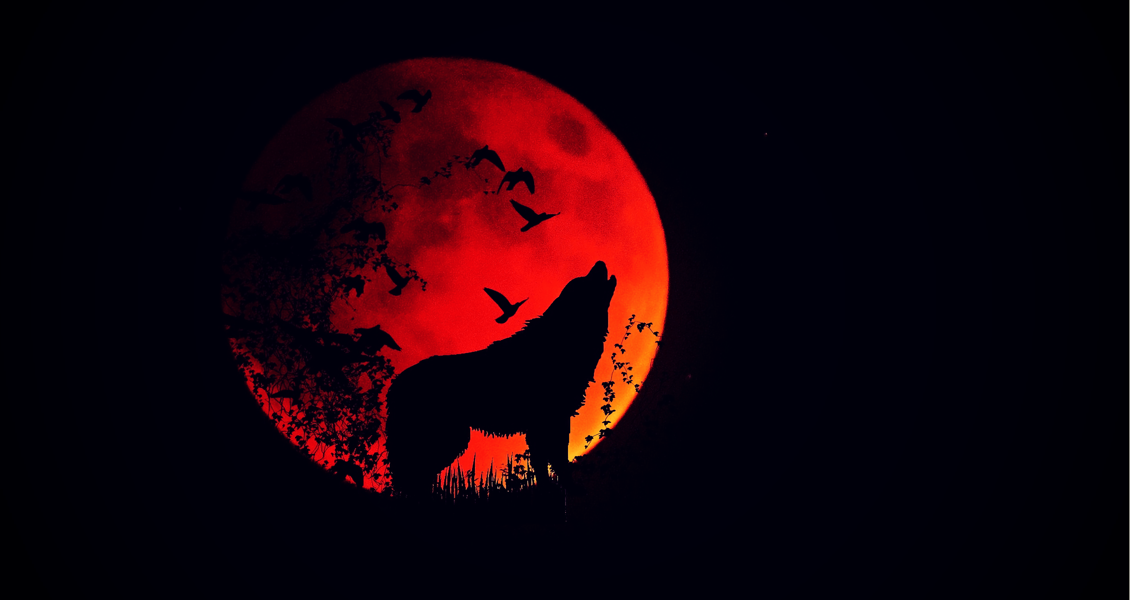 Full Moon Wolf Wallpapers - Top Free Full Moon Wolf Backgrounds - WallpaperAccess