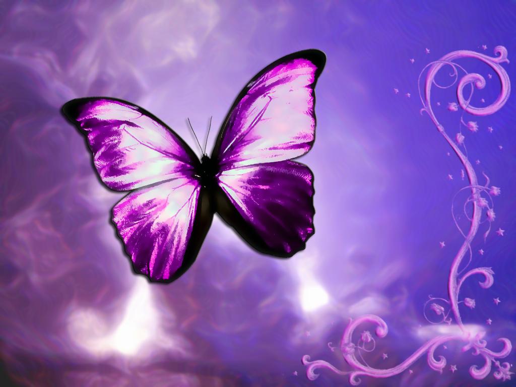 Fall Butterfly Wallpapers - Top Free Fall Butterfly Backgrounds ...