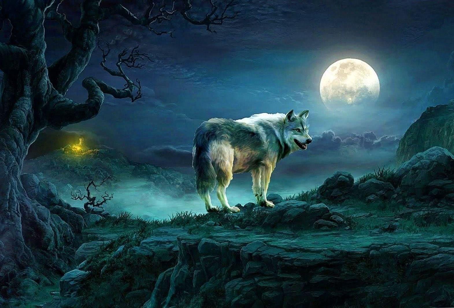 Full Moon Wolf Wallpapers - Top Free Full Moon Wolf Backgrounds ...