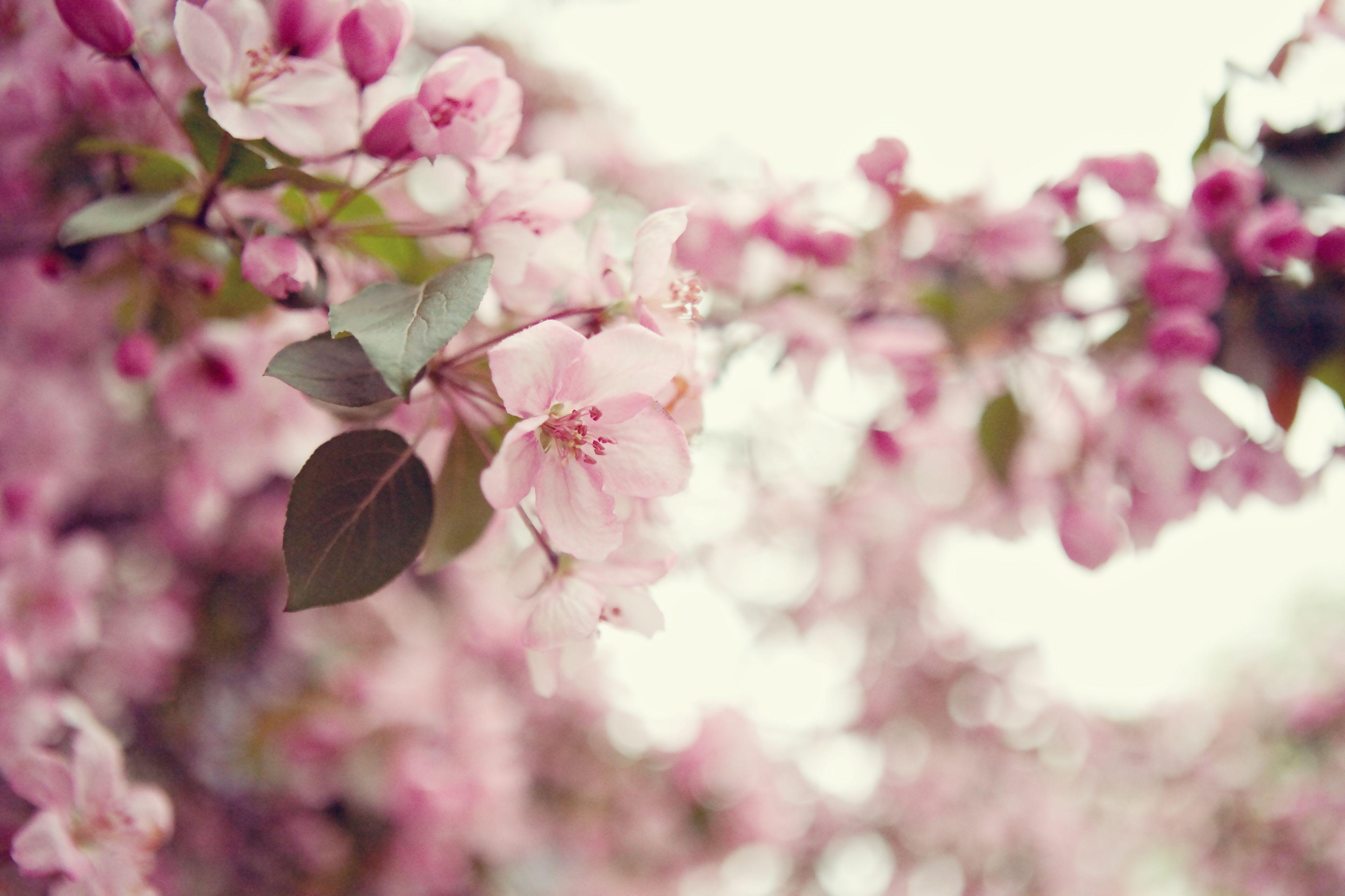 Extra Large Wallpapers - Top Free Extra Large Backgrounds - WallpaperAccess