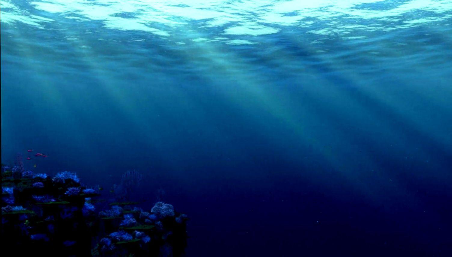 Nemo Desktop Wallpapers - Top Free Nemo Desktop Backgrounds ...