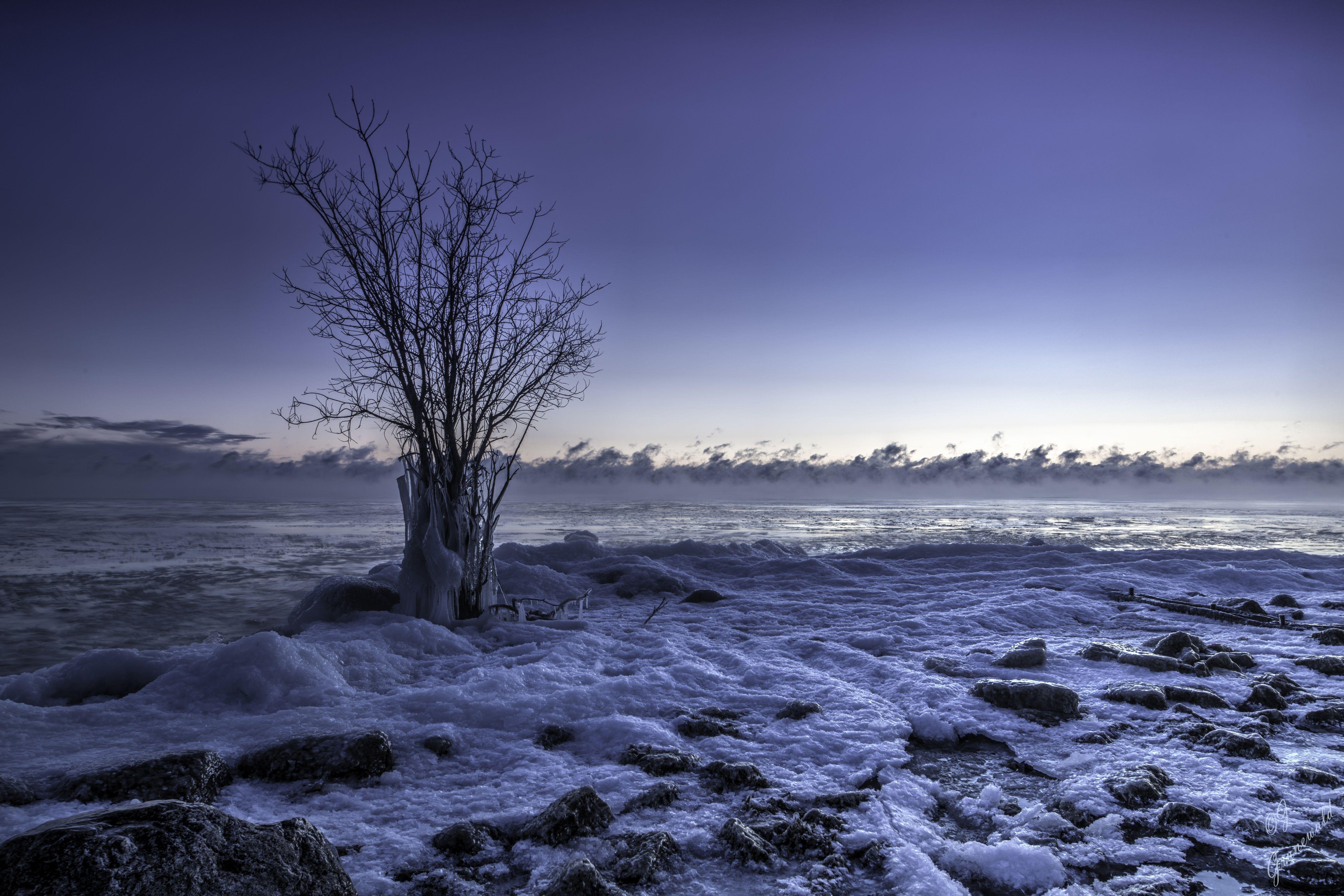 Frozen Winter Wallpapers - Top Free Frozen Winter Backgrounds ...