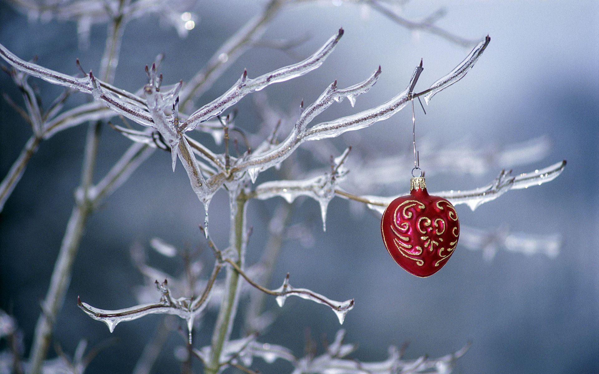 Frozen Winter Wallpapers - Top Free Frozen Winter Backgrounds ...
