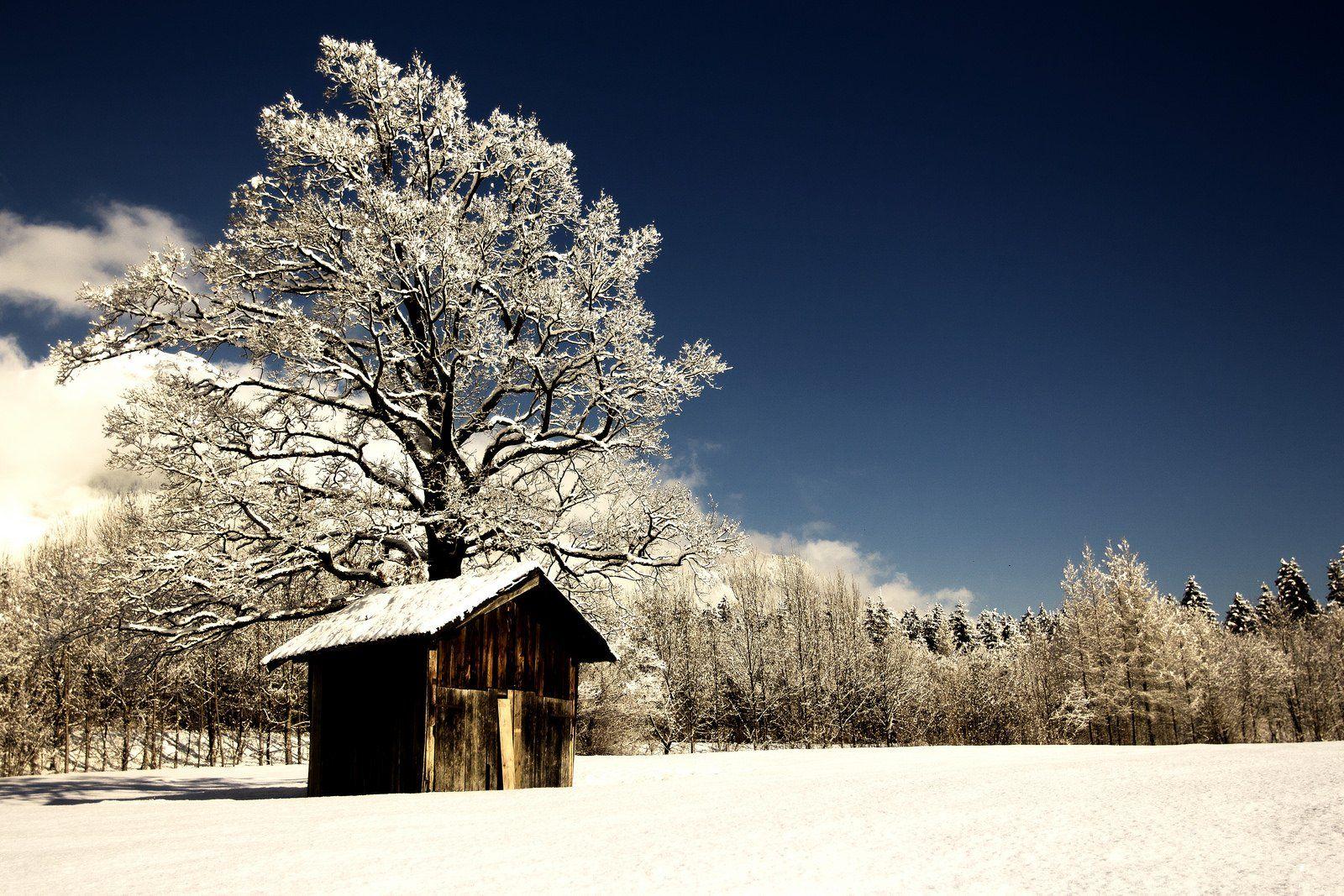 Frozen Winter Wallpapers - Top Free Frozen Winter Backgrounds ...