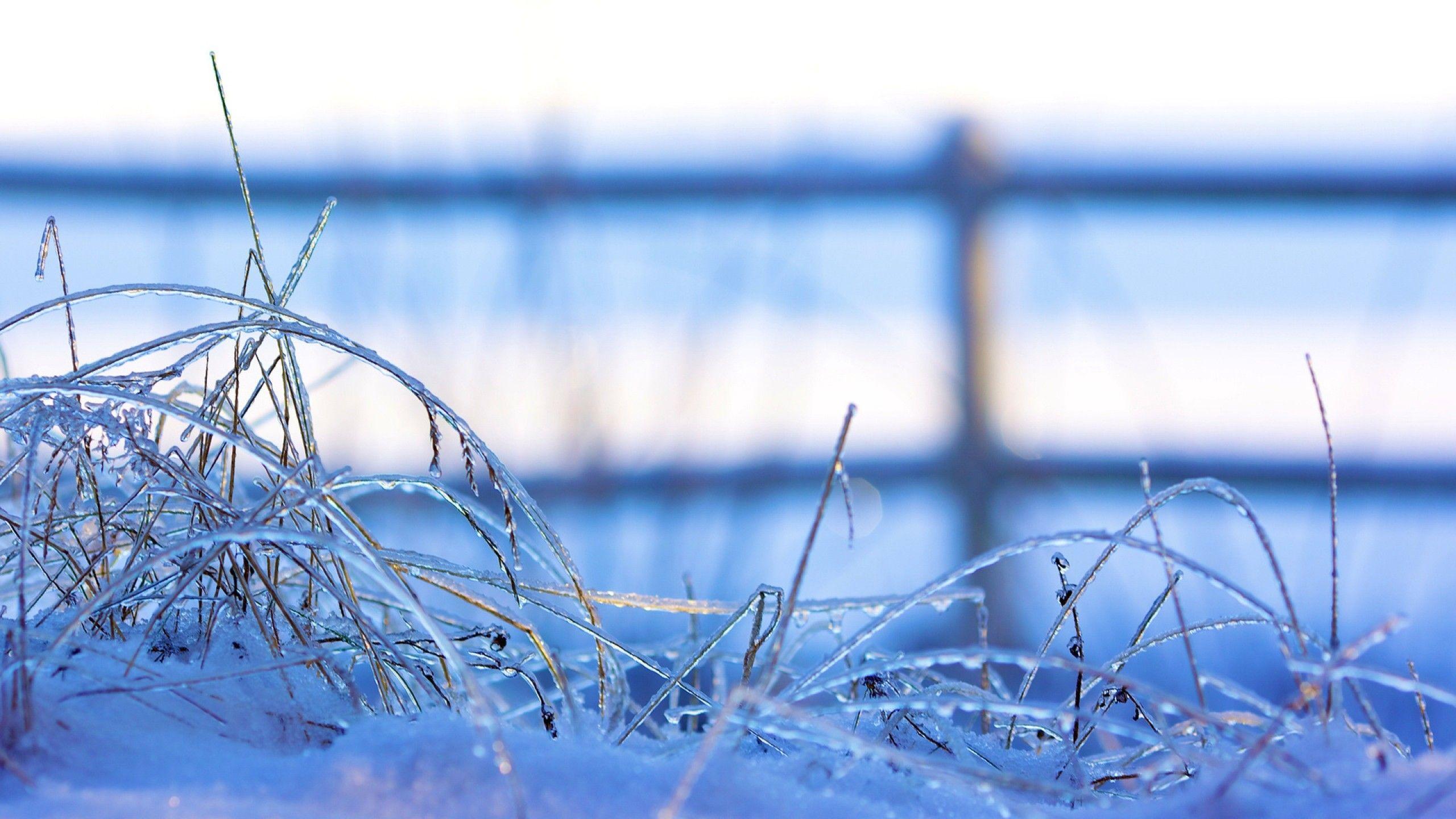 Frozen Winter Wallpapers - Top Free Frozen Winter Backgrounds ...