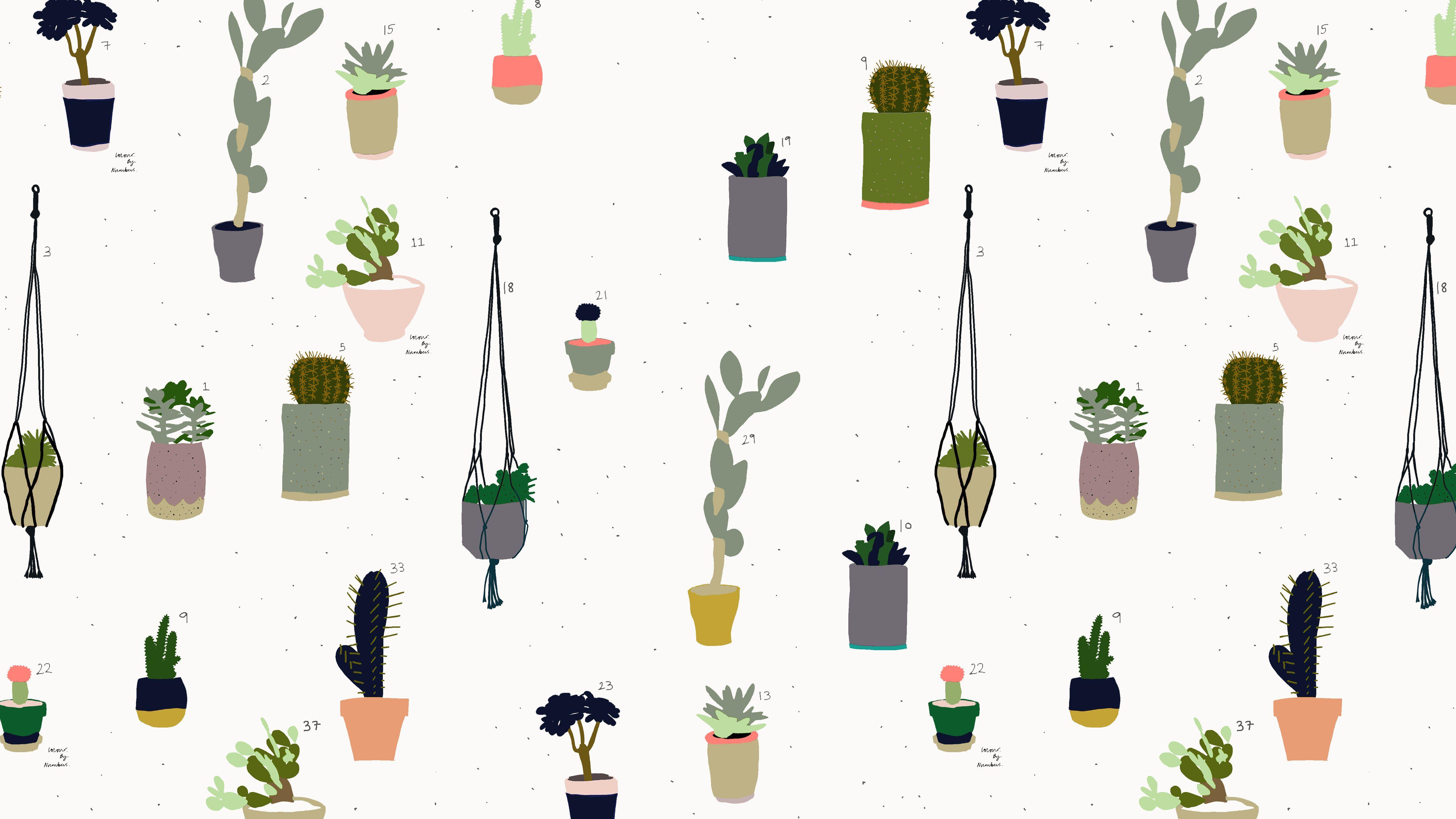 House Plant Wallpapers - Top Free House Plant Backgrounds - WallpaperAccess