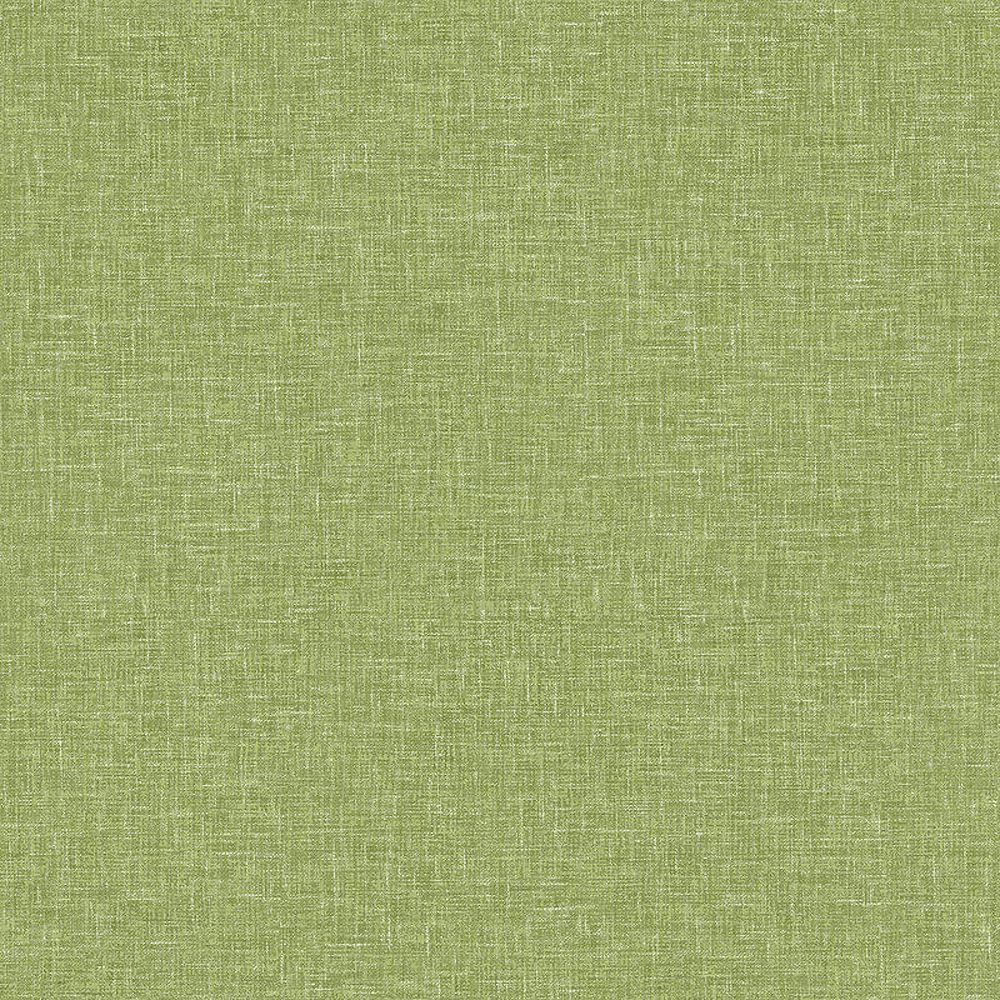 Moss Green Wallpapers - Top Free Moss Green Backgrounds - WallpaperAccess