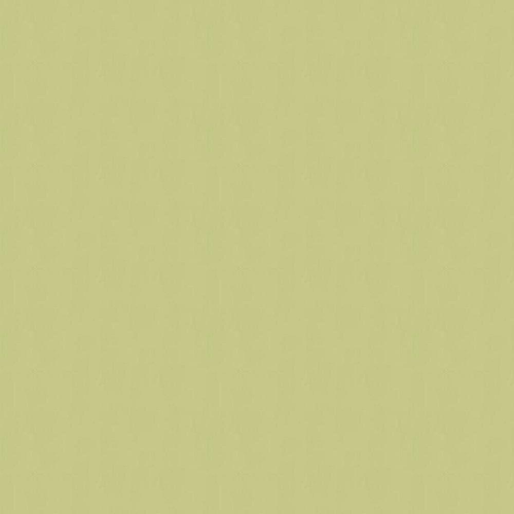 Moss Green Wallpapers - Top Free Moss Green Backgrounds - WallpaperAccess