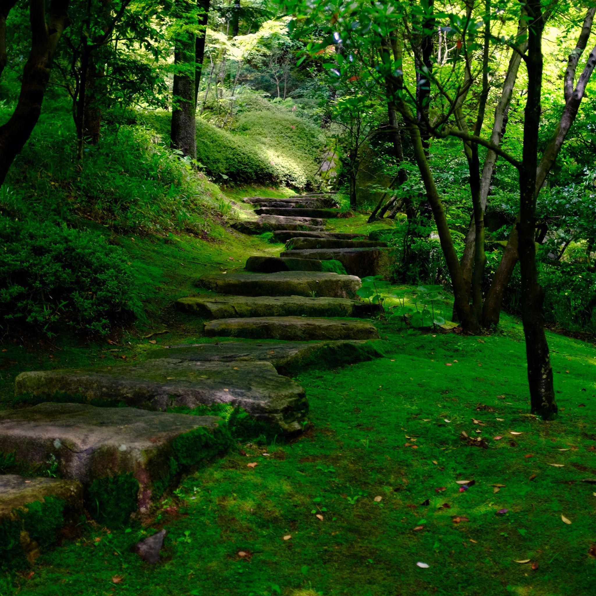 Moss Garden Wallpapers - Top Free Moss Garden Backgrounds - WallpaperAccess