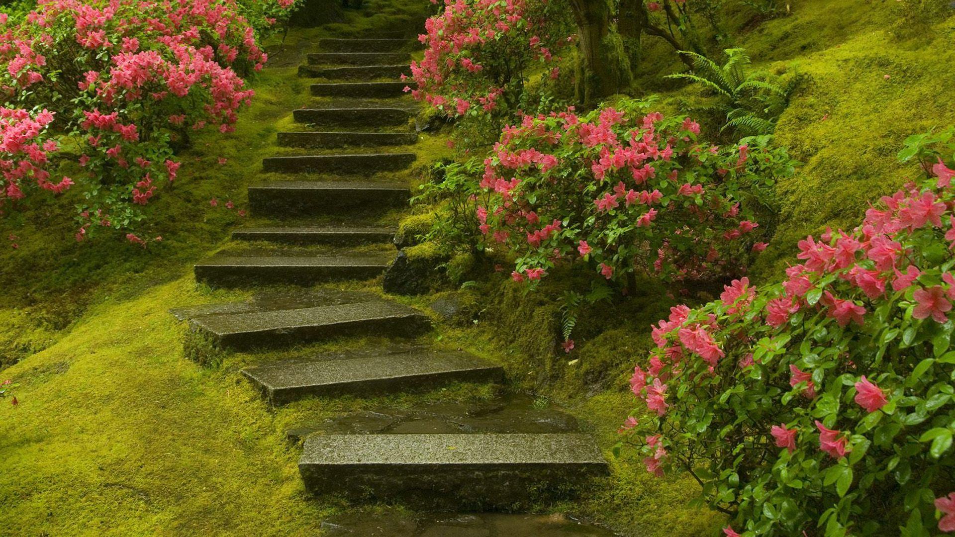 Moss Garden Wallpapers - Top Free Moss Garden Backgrounds - WallpaperAccess