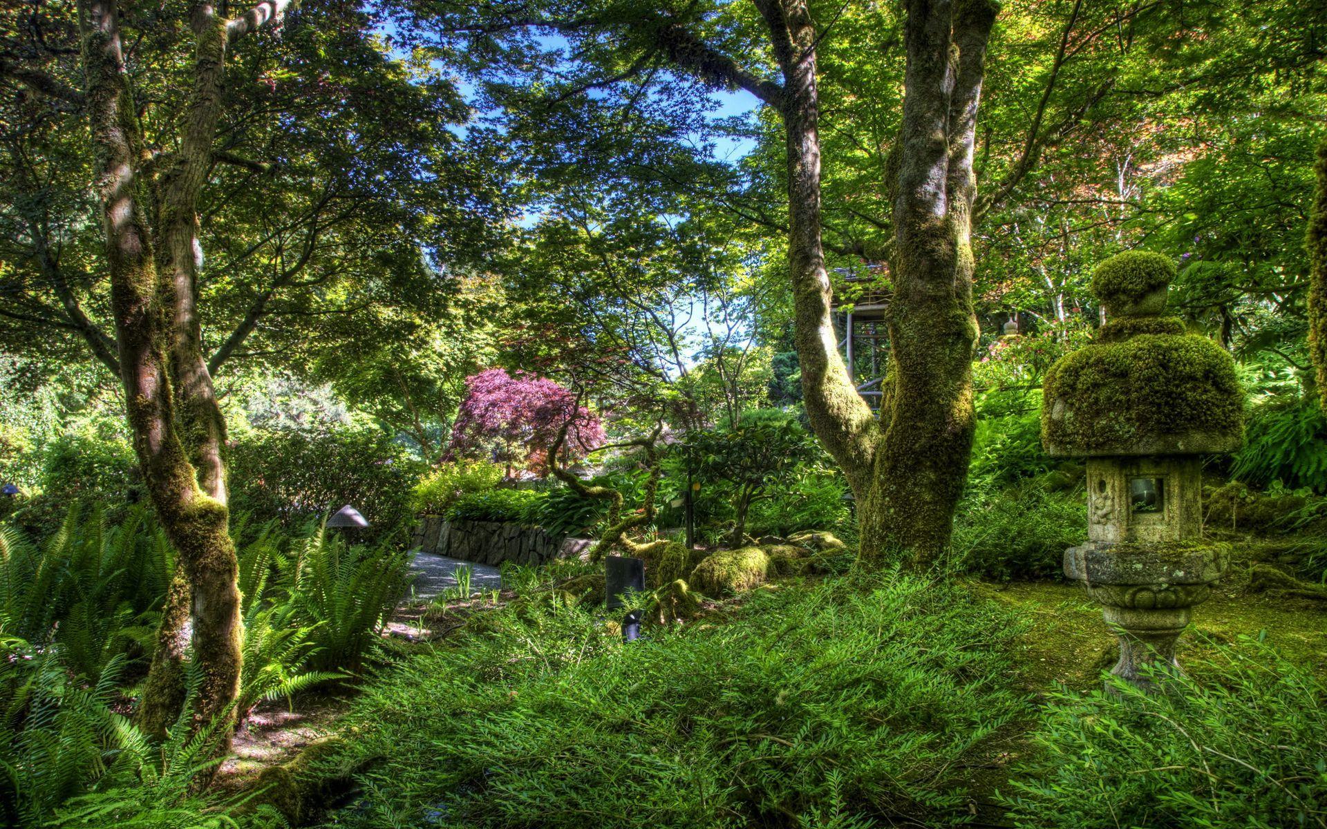 Moss Garden Wallpapers - Top Free Moss Garden Backgrounds - WallpaperAccess