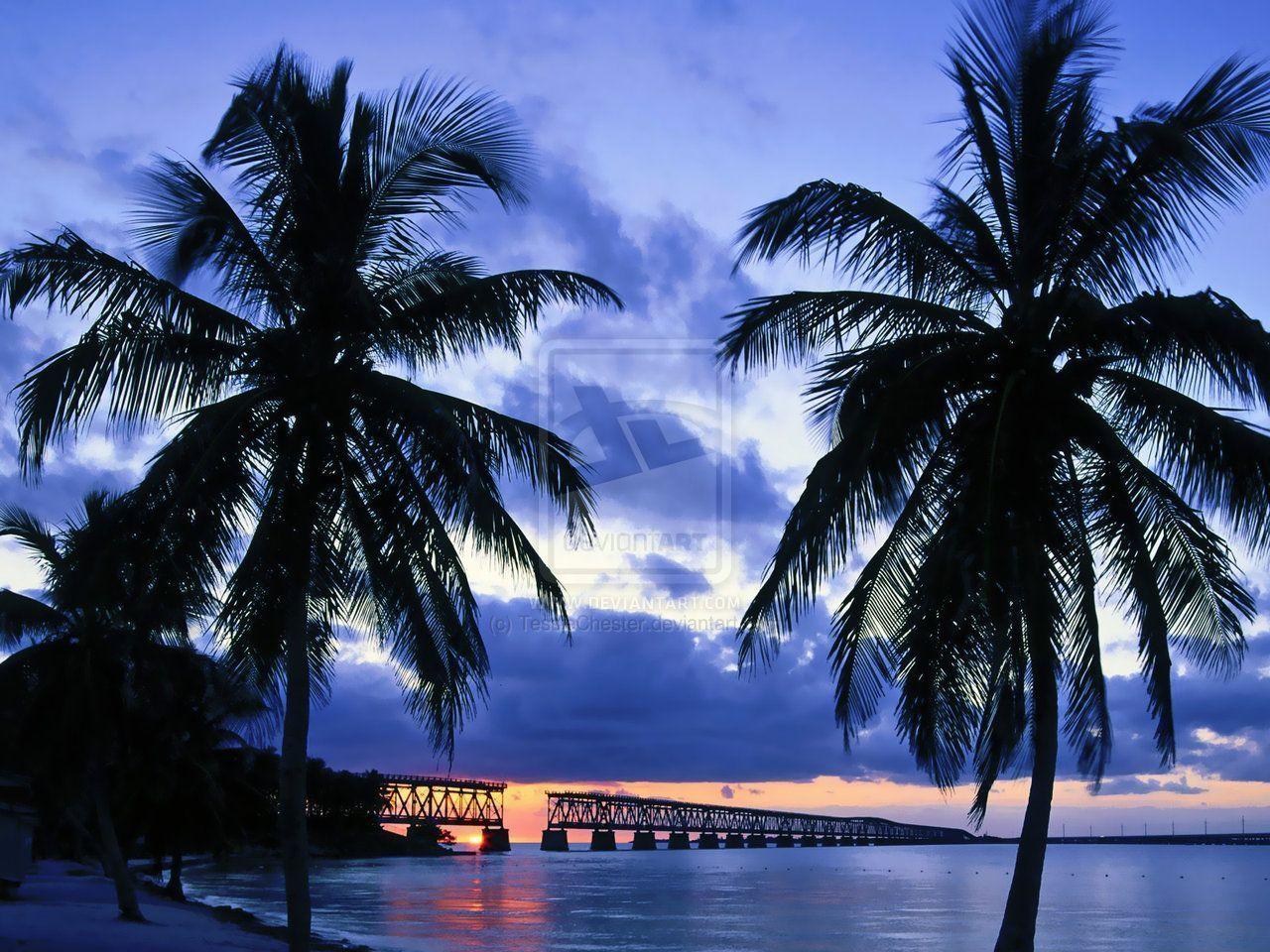 Florida Nature Wallpapers - Top Free Florida Nature Backgrounds ...