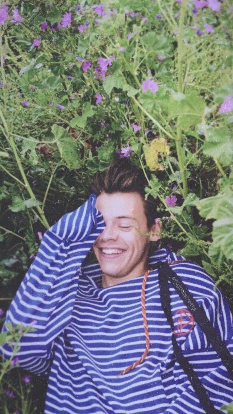 Harry Styles Flower Wallpapers - Top Free Harry Styles Flower ...