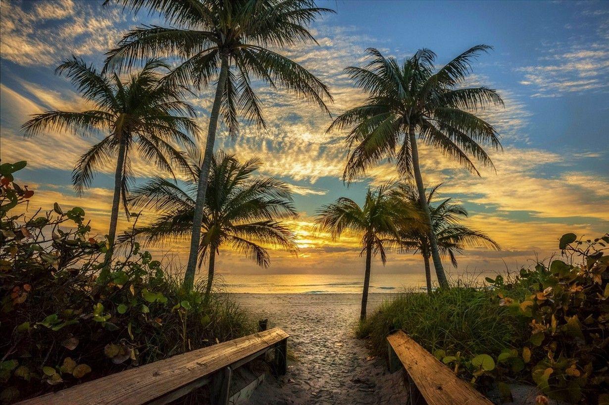 Florida Nature Wallpapers - Top Free Florida Nature Backgrounds ...