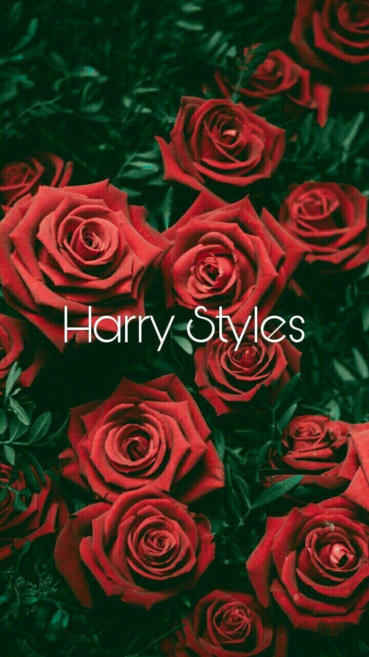 Harry Styles Flower Wallpapers - Top Free Harry Styles Flower ...