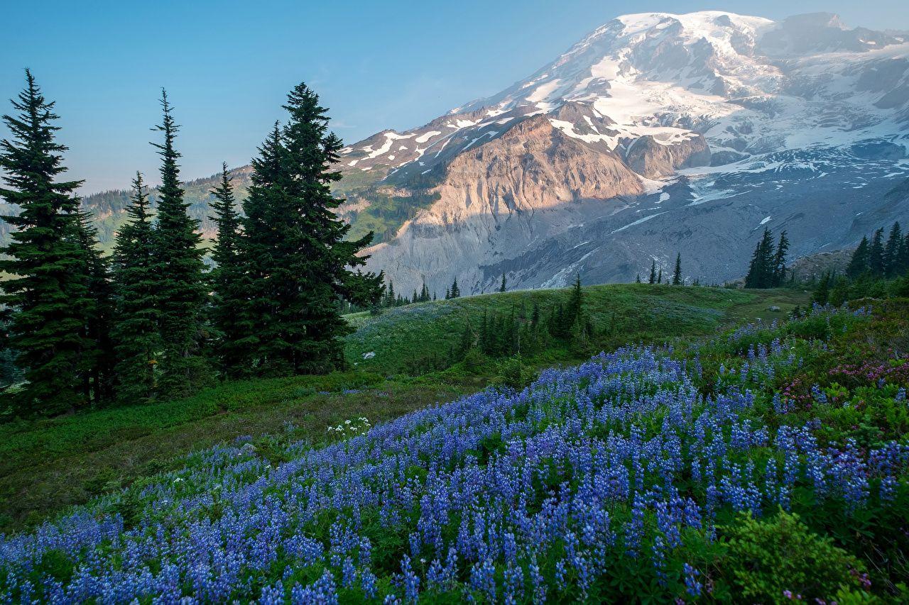 Mount Rainier National Park Wallpapers - Top Free Mount Rainier ...