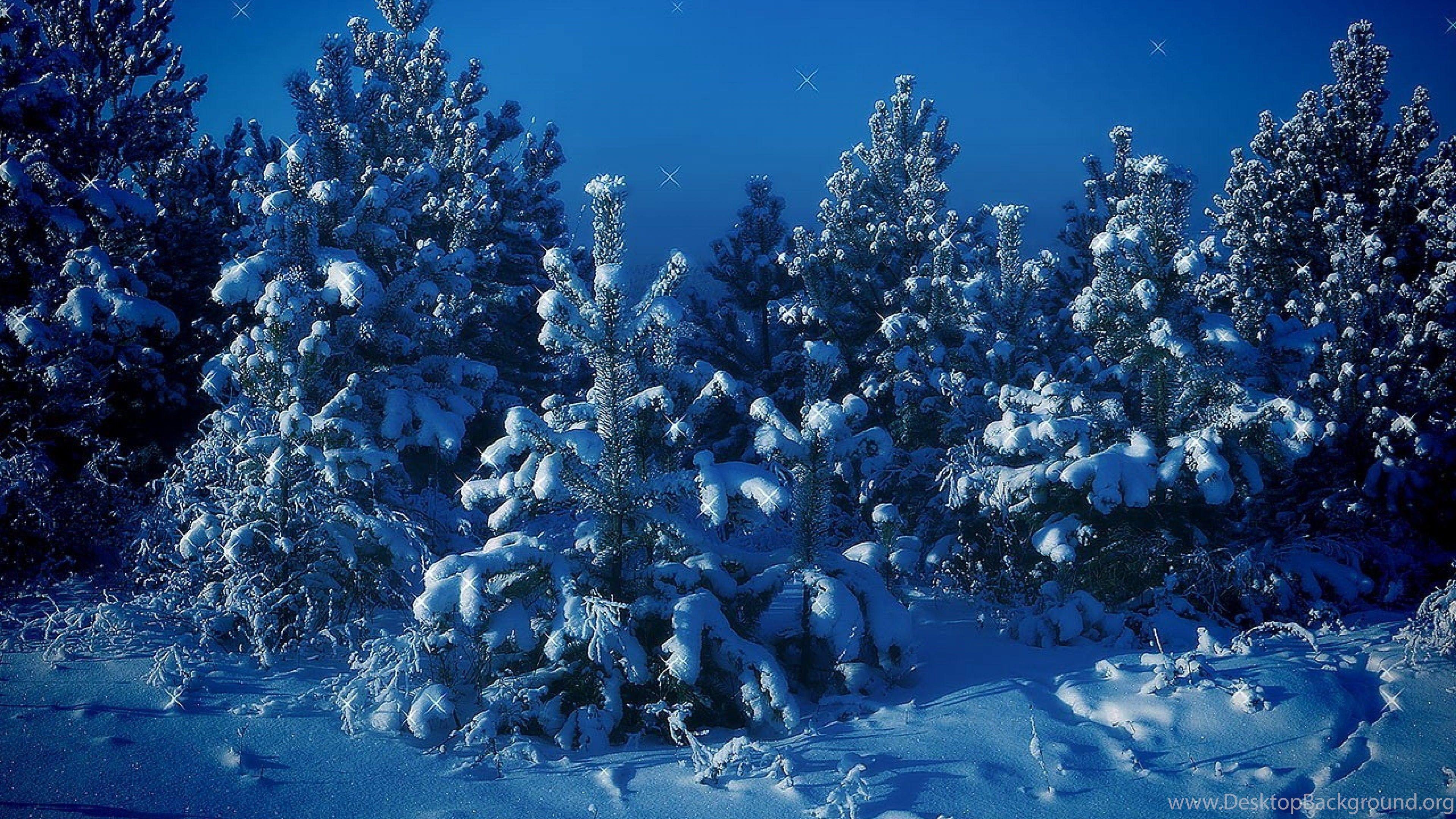 4K Snow Night Wallpapers - Top Free 4K Snow Night Backgrounds ...