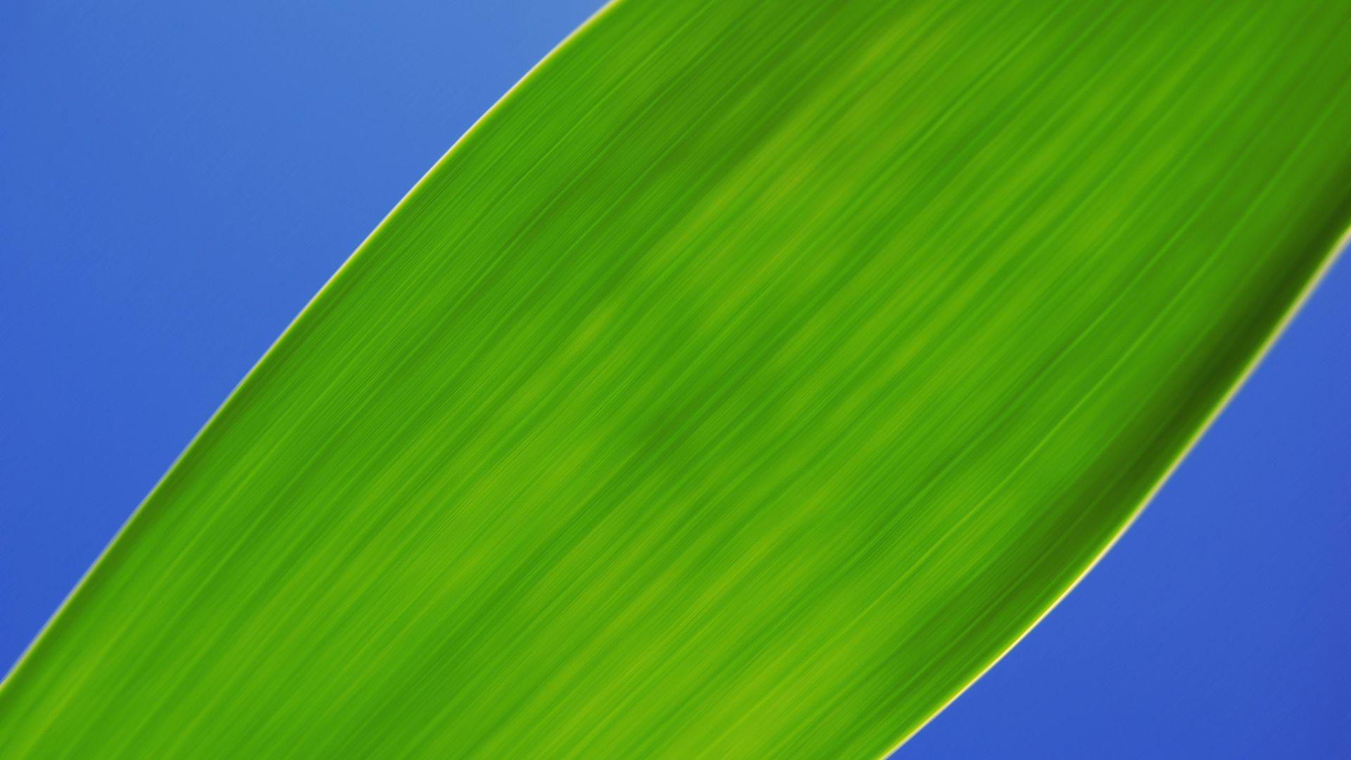 Sustainable Energy Wallpapers - Top Free Sustainable Energy Backgrounds ...