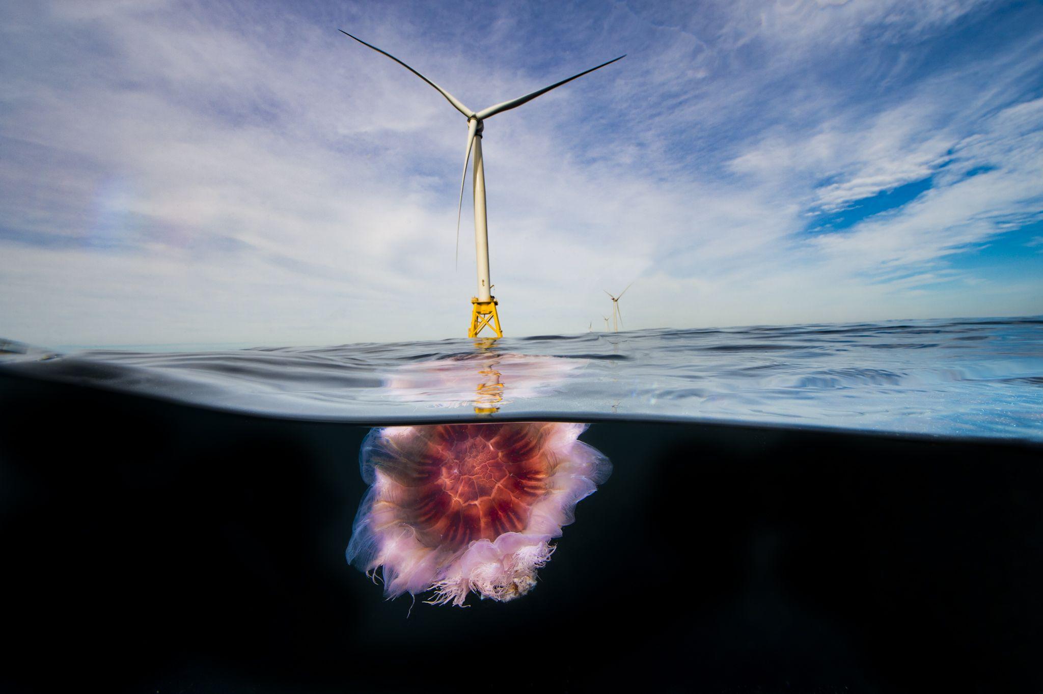 Sustainable Energy Wallpapers - Top Free Sustainable Energy Backgrounds ...