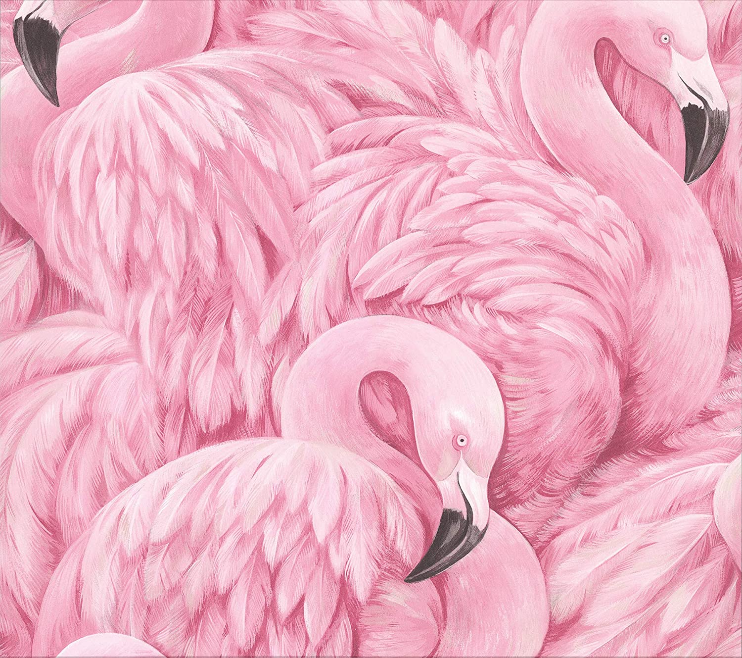 4K Flamingo Wallpapers - Top Free 4K Flamingo Backgrounds - WallpaperAccess