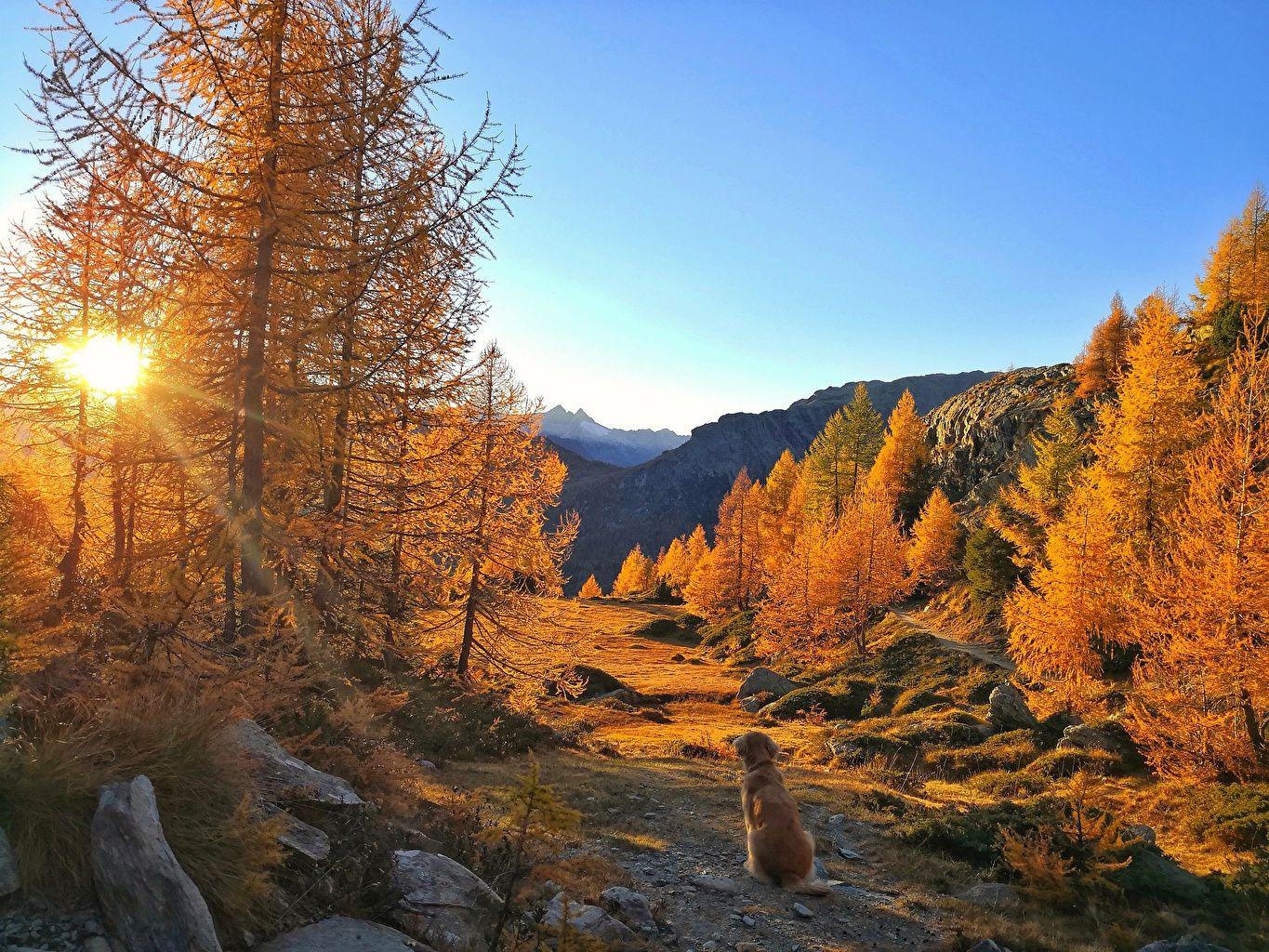 Autumn Mountains Landscape Wallpapers - Top Free Autumn Mountains ...