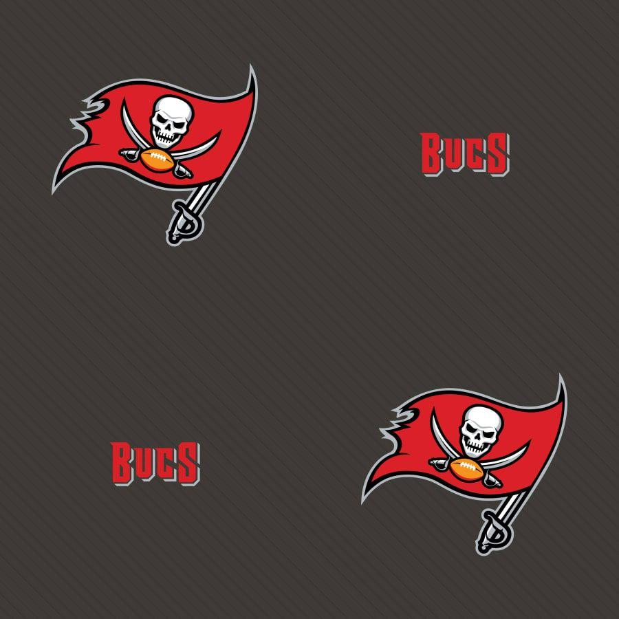 Tampa Bay Wallpapers - Top Free Tampa Bay Backgrounds - WallpaperAccess