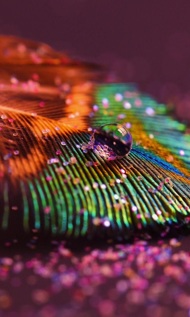 Feather Phone Wallpapers - Top Free Feather Phone Backgrounds ...