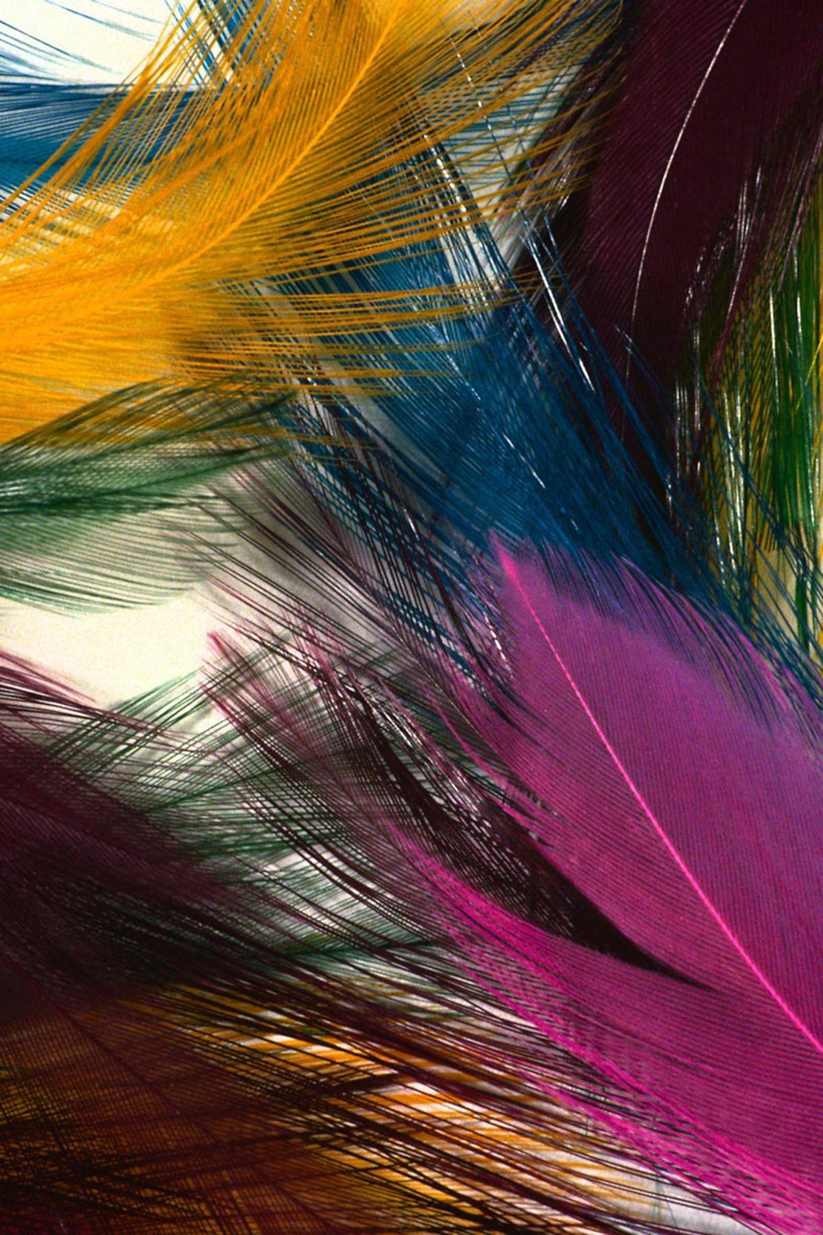 Feather Phone Wallpapers - Top Free Feather Phone Backgrounds ...