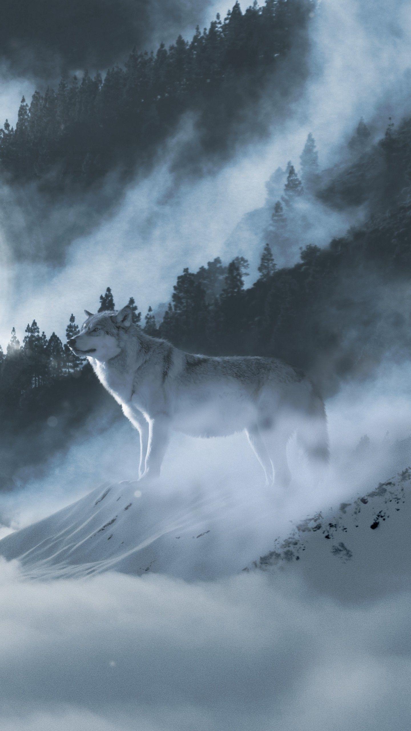 4K Snow Wolf Wallpapers - Top Free 4K Snow Wolf Backgrounds ...