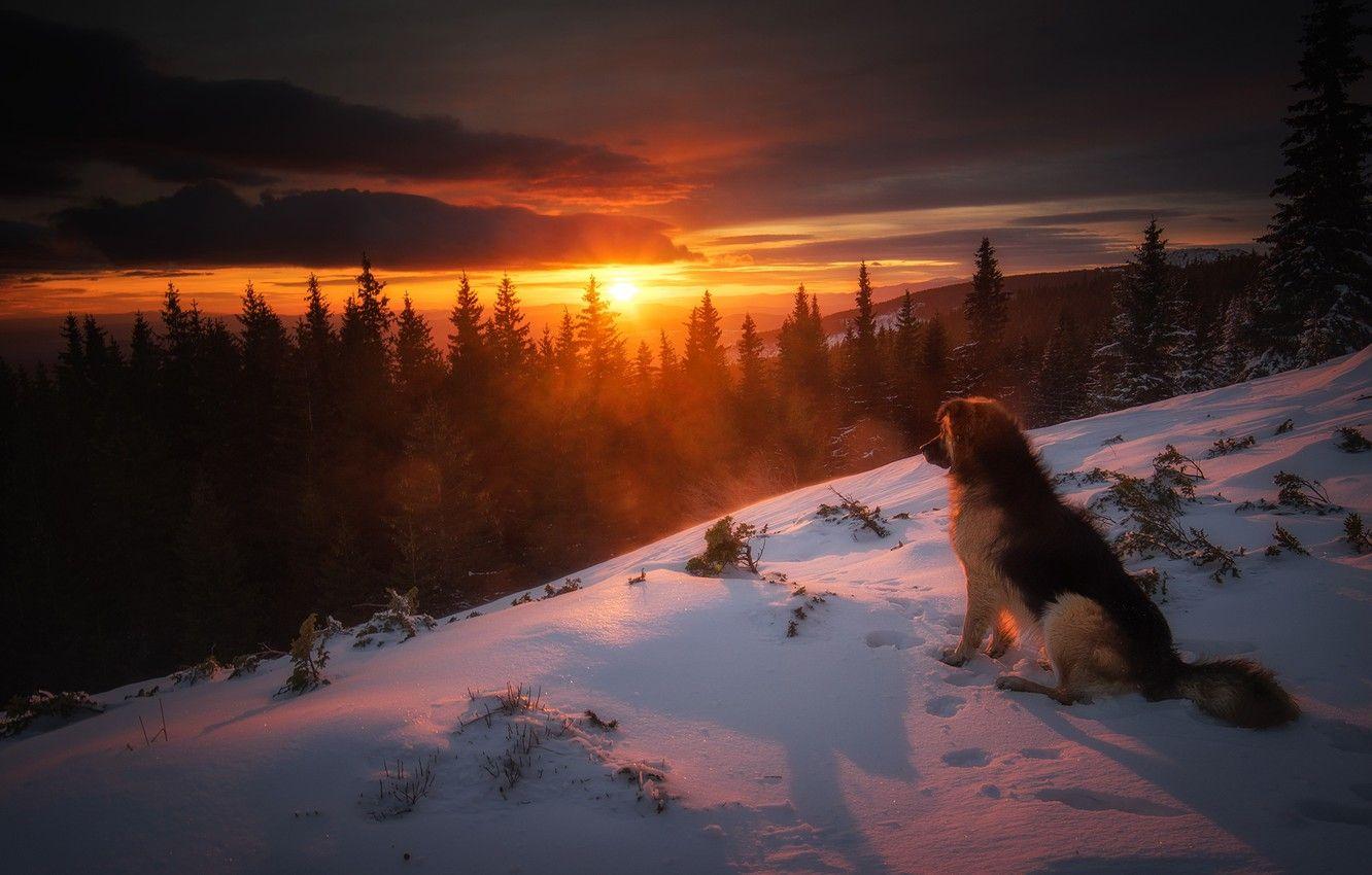 Snowy Sunset Wallpapers - Top Free Snowy Sunset Backgrounds ...