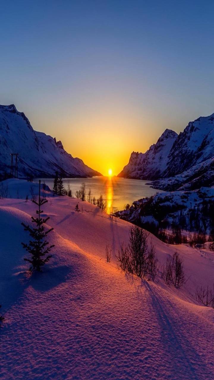 Purple Snow Wallpapers - Top Free Purple Snow Backgrounds - WallpaperAccess