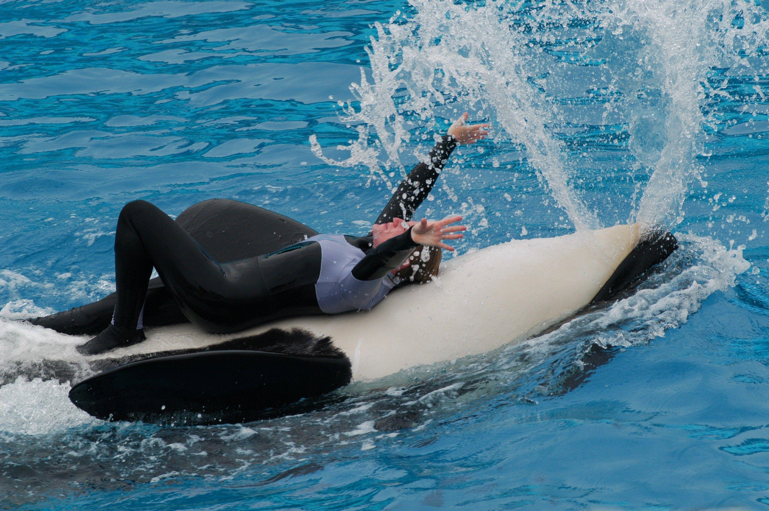 Sea World Wallpapers - Top Free Sea World Backgrounds - WallpaperAccess