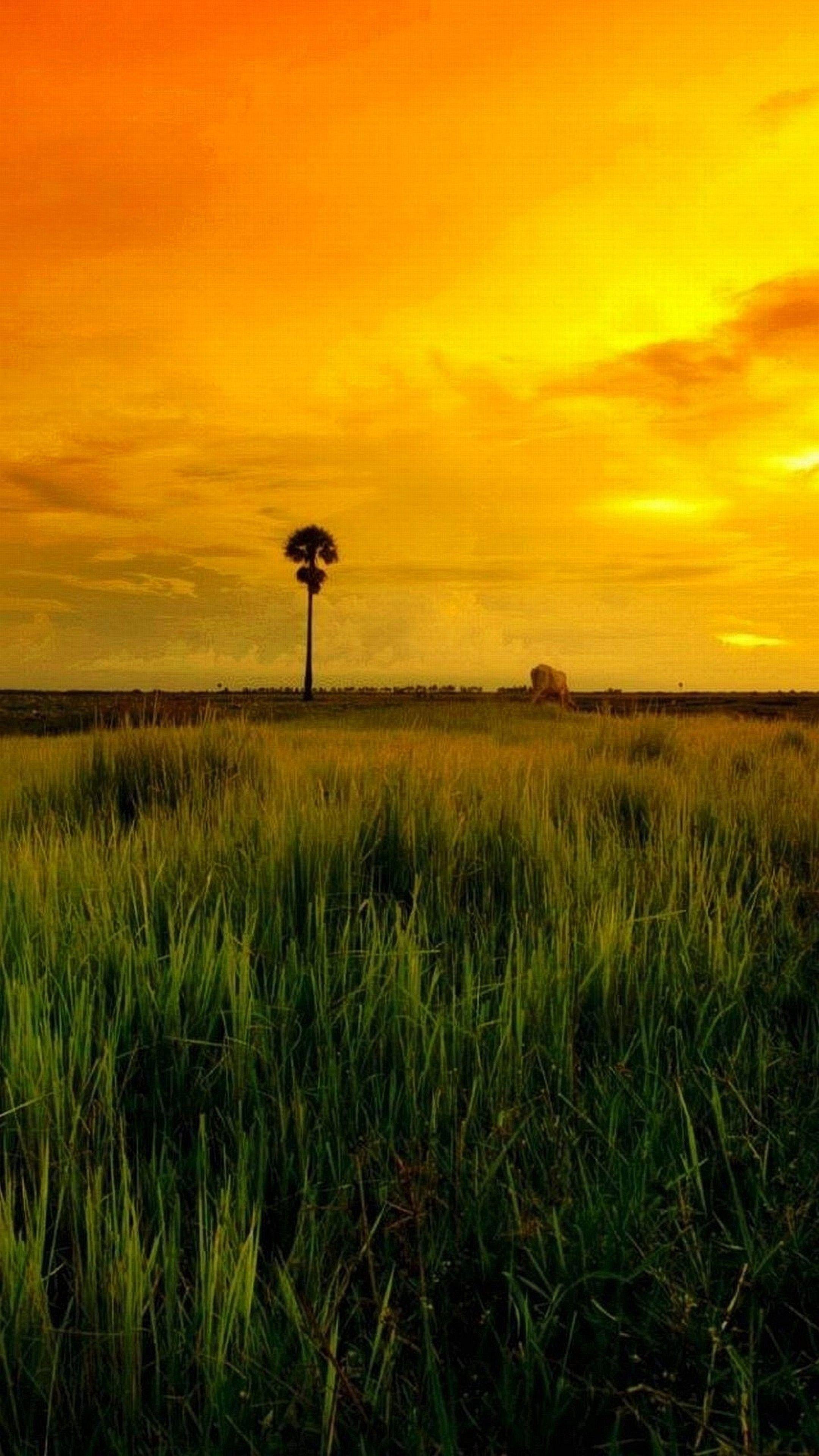 Galaxy Note 6 Wallpapers - Top Free Galaxy Note 6 Backgrounds ...