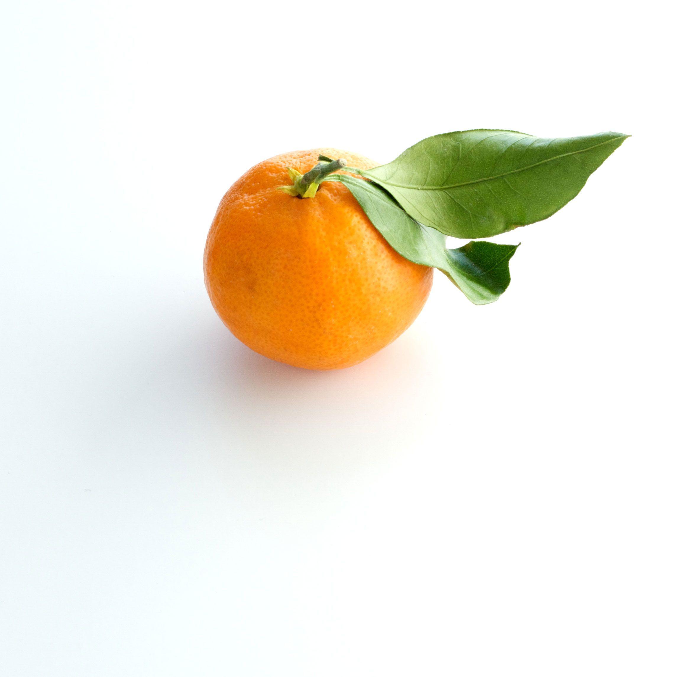 Tangerine Wallpapers - Top Free Tangerine Backgrounds - WallpaperAccess