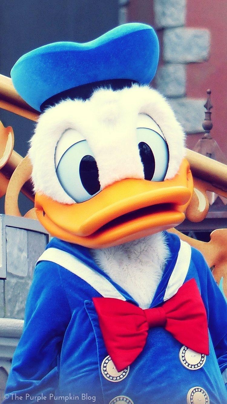 Disney Donald Duck Wallpapers - Top Free Disney Donald Duck Backgrounds ...