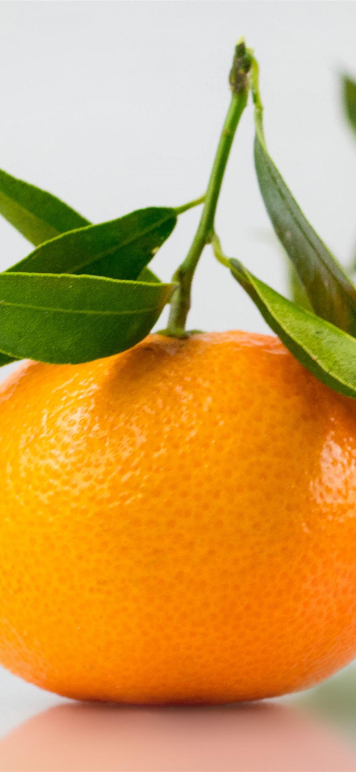 Tangerine Wallpapers - Top Free Tangerine Backgrounds - WallpaperAccess