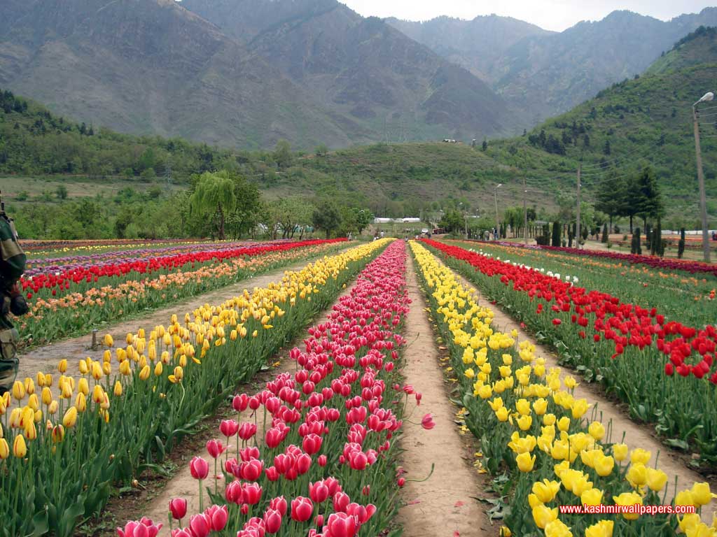 Jammu Kashmir Wallpapers - Top Free Jammu Kashmir Backgrounds ...