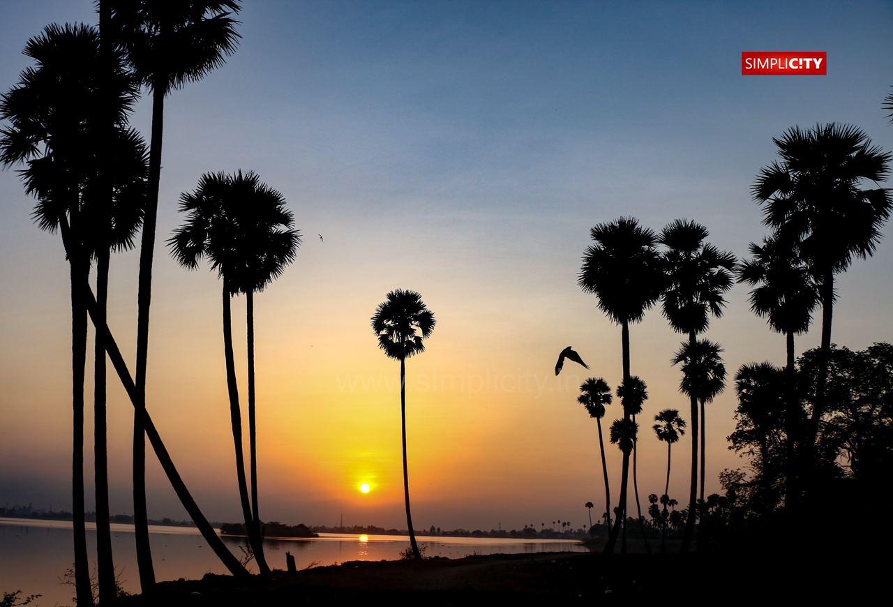 Coimbatore Wallpapers - Top Free Coimbatore Backgrounds - WallpaperAccess