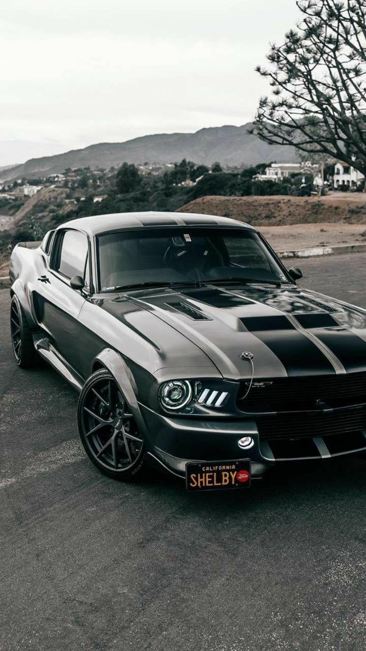 Shelby Logo 4K Wallpapers - Top Free Shelby Logo 4K Backgrounds ...