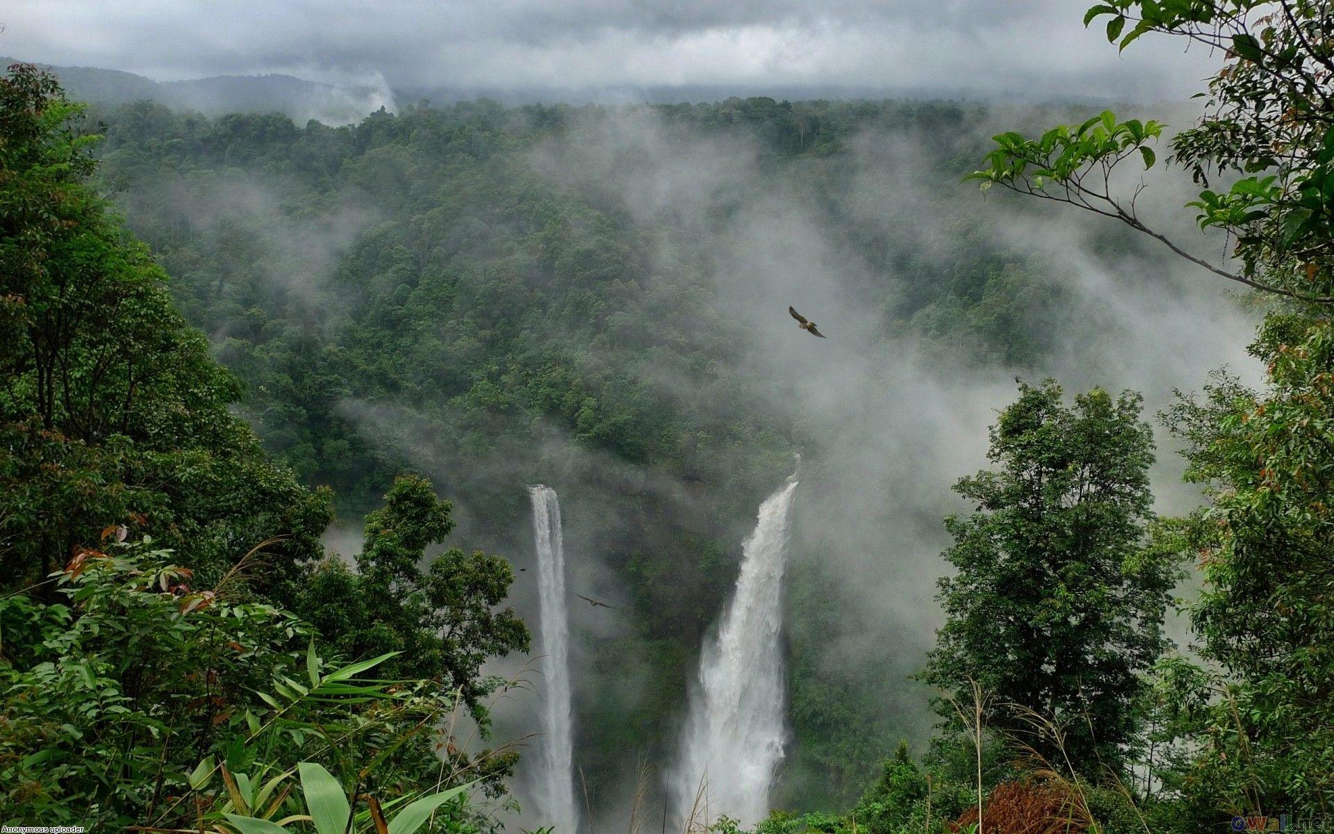 HD Cloud Forest Wallpapers - Top Free HD Cloud Forest Backgrounds ...