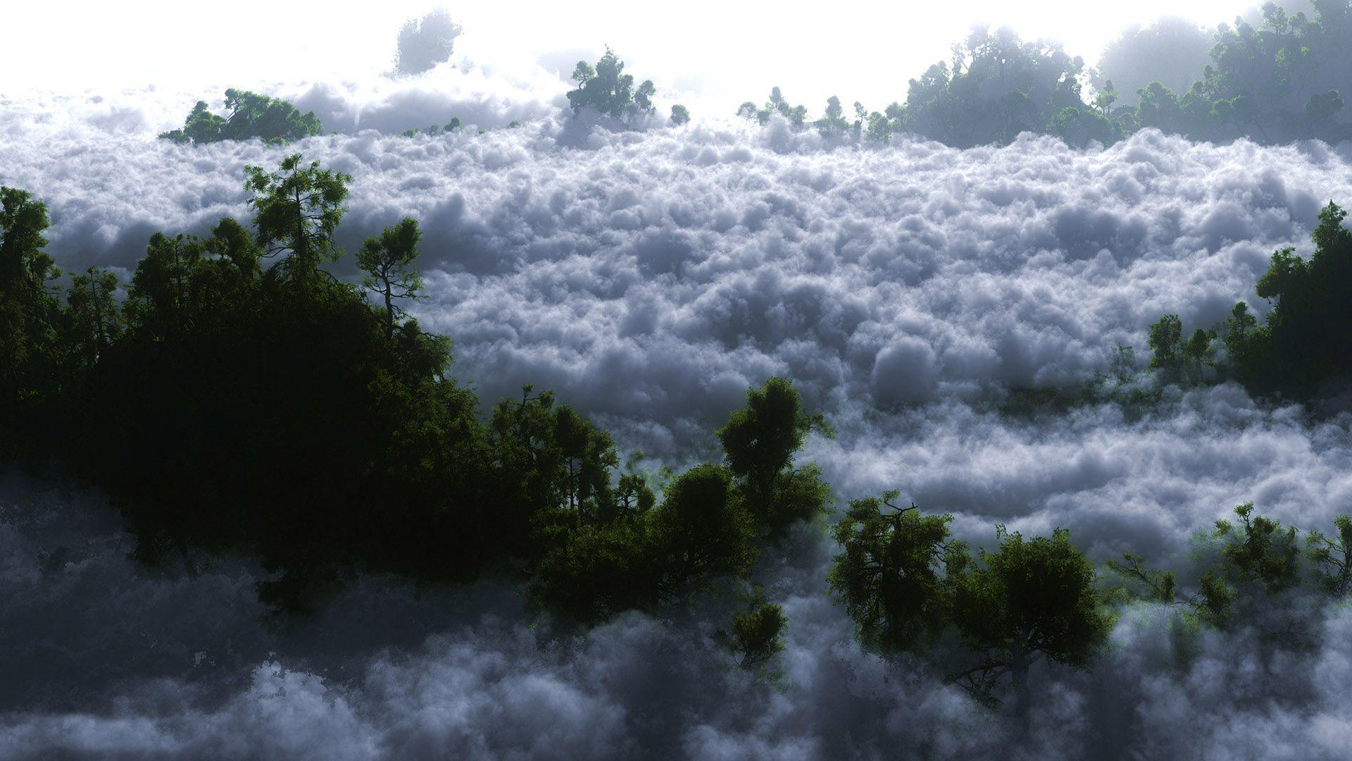 HD Cloud Forest Wallpapers - Top Free HD Cloud Forest Backgrounds - WallpaperAccess
