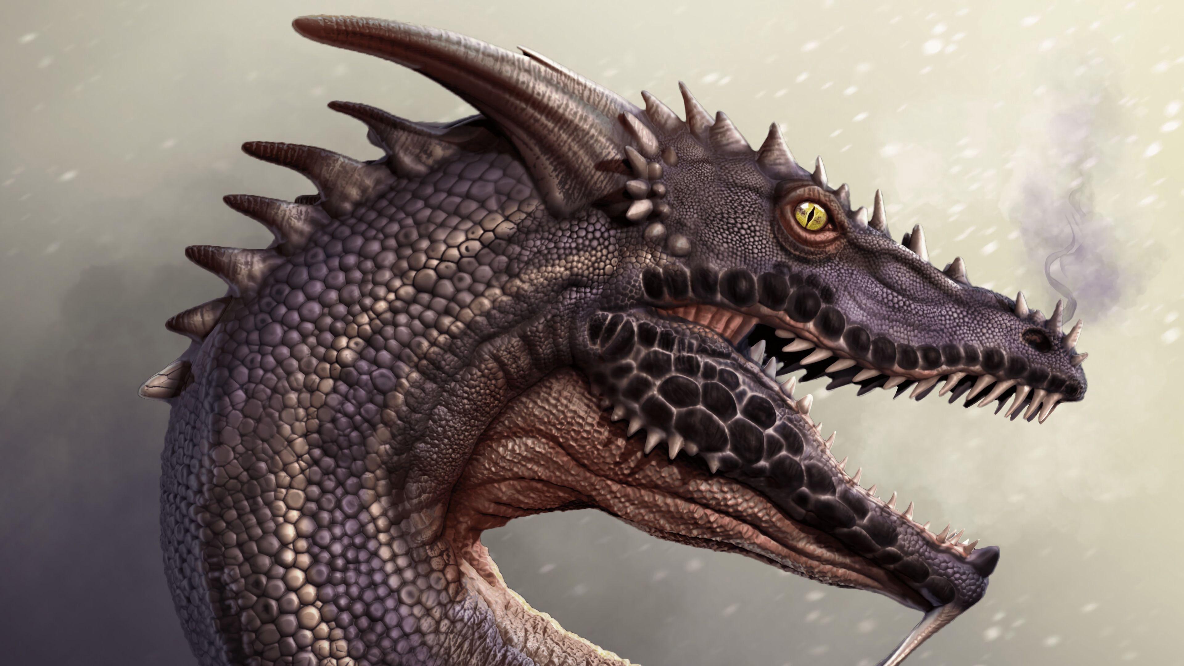 Dragon Monster Wallpapers - Top Free Dragon Monster Backgrounds ...