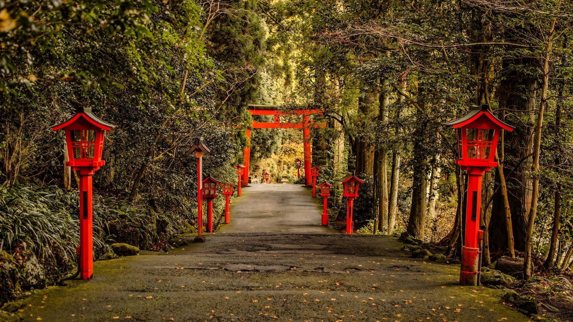 Japan Lantern Wallpapers - Top Free Japan Lantern Backgrounds ...