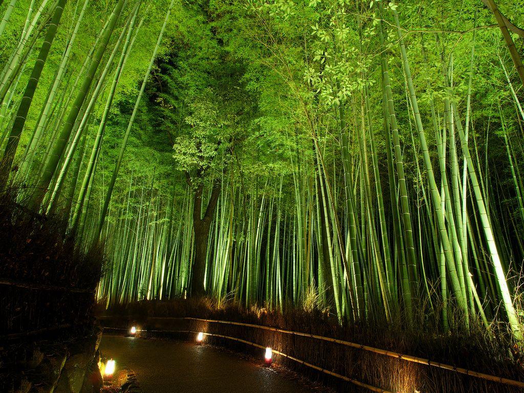 Arashiyama Wallpapers - Top Free Arashiyama Backgrounds - WallpaperAccess