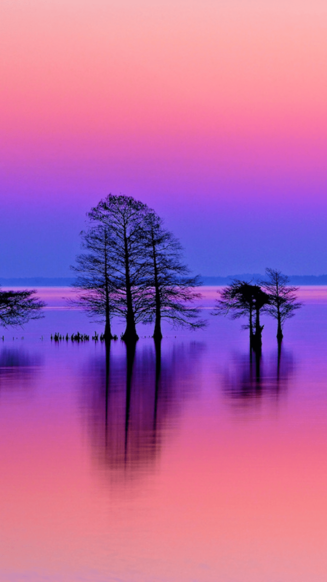 Bayou Wallpapers - Top Free Bayou Backgrounds - WallpaperAccess