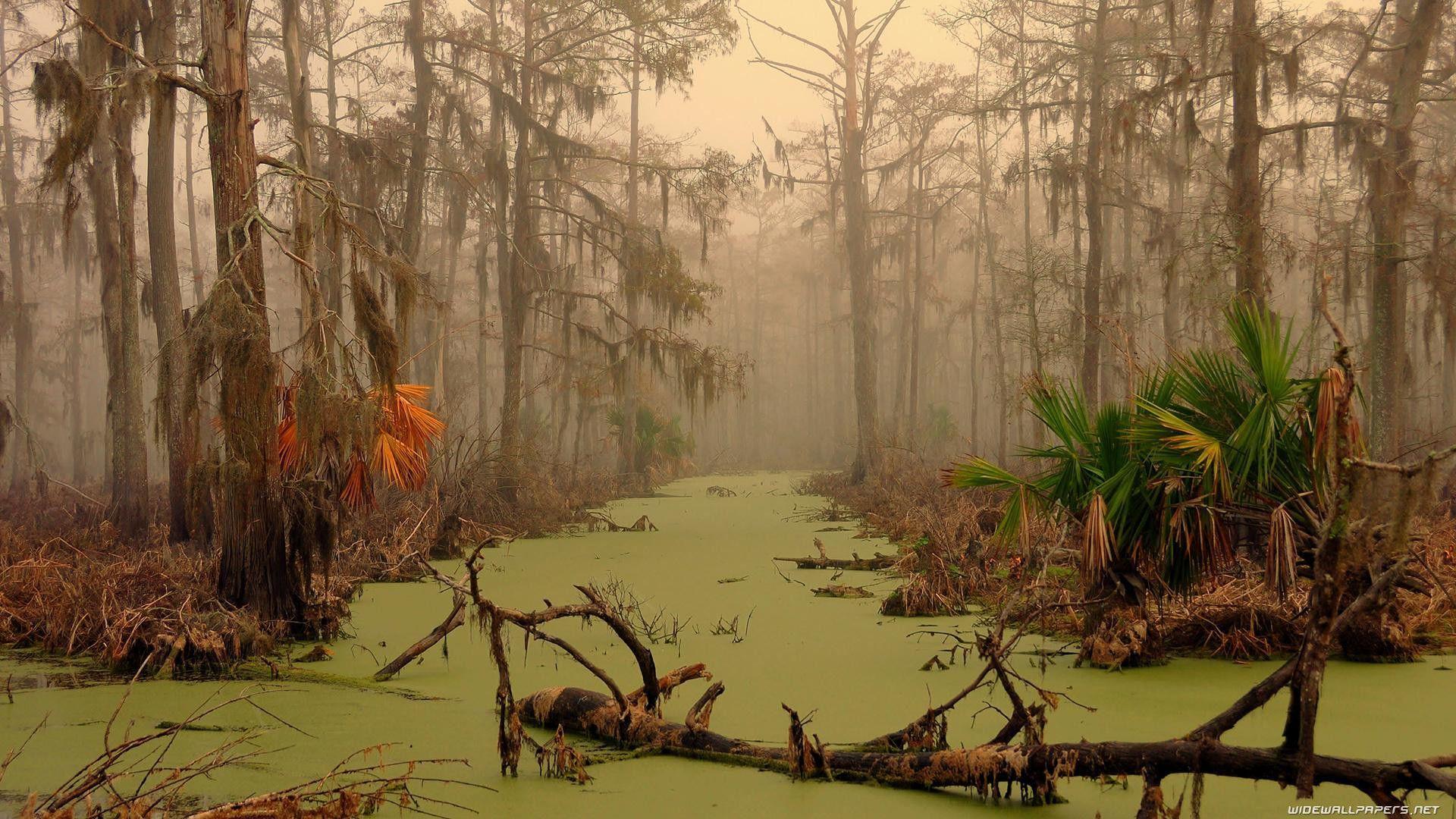 Bayou Wallpapers - Top Free Bayou Backgrounds - WallpaperAccess
