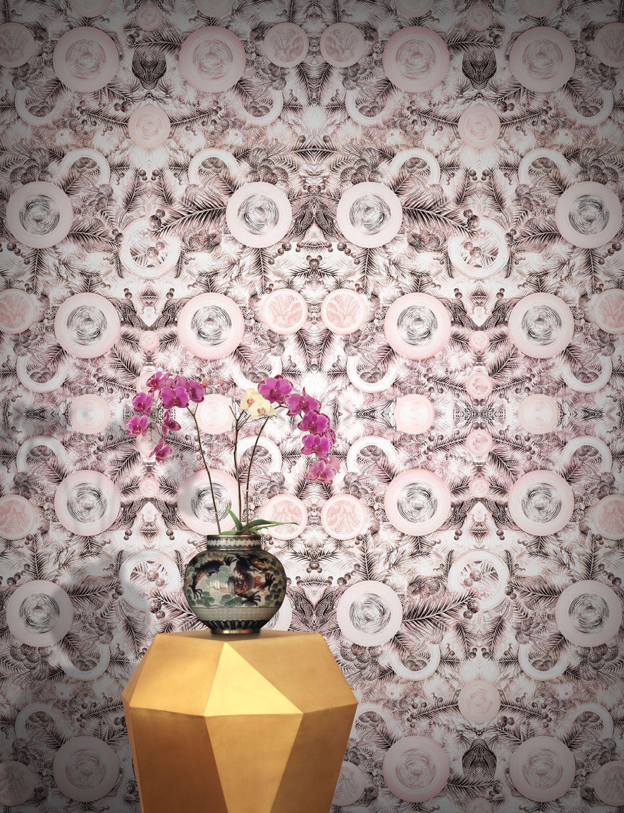 Persian Wallpapers - Top Free Persian Backgrounds - WallpaperAccess