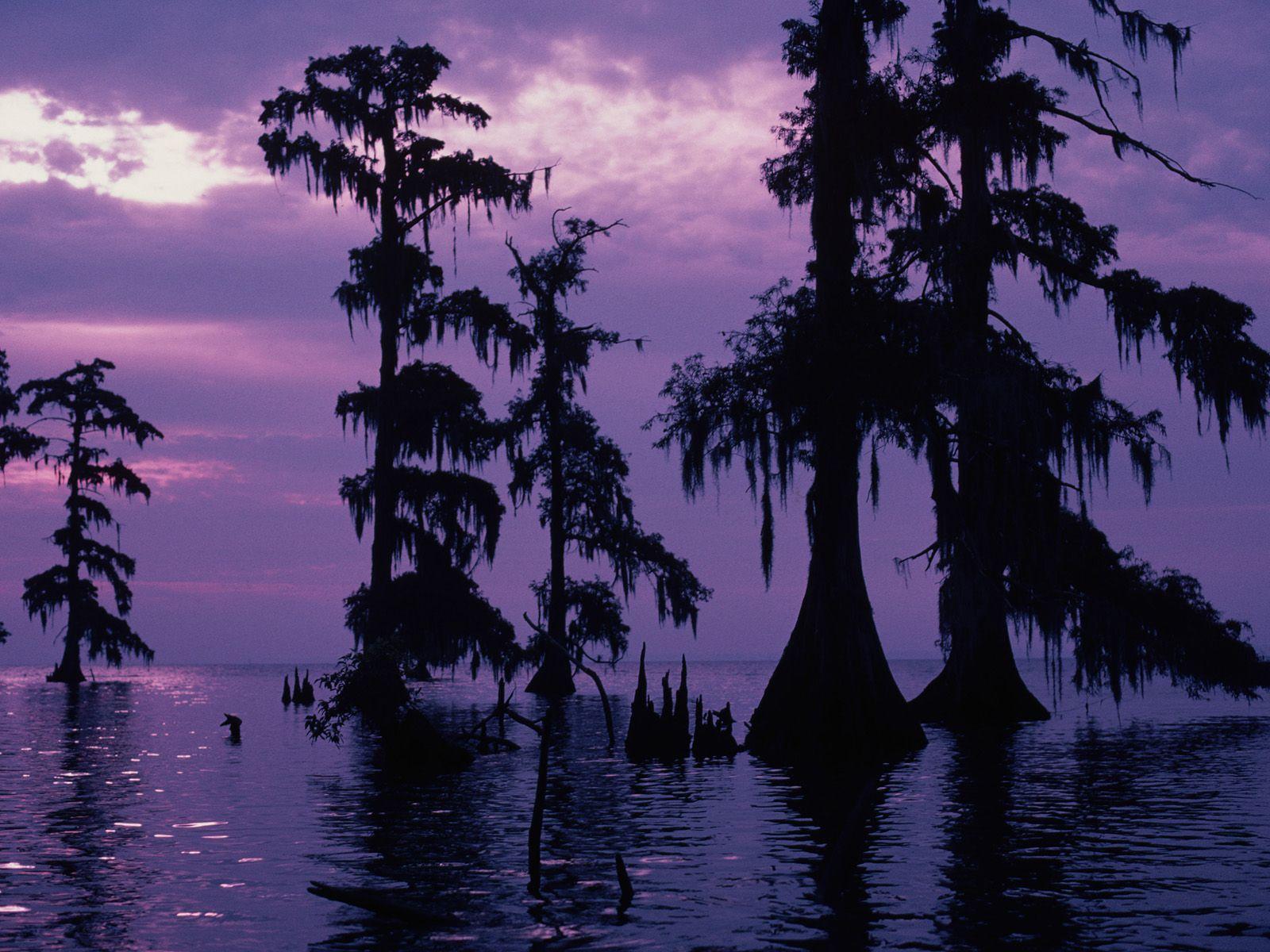 Bayou Wallpapers - Top Free Bayou Backgrounds - WallpaperAccess