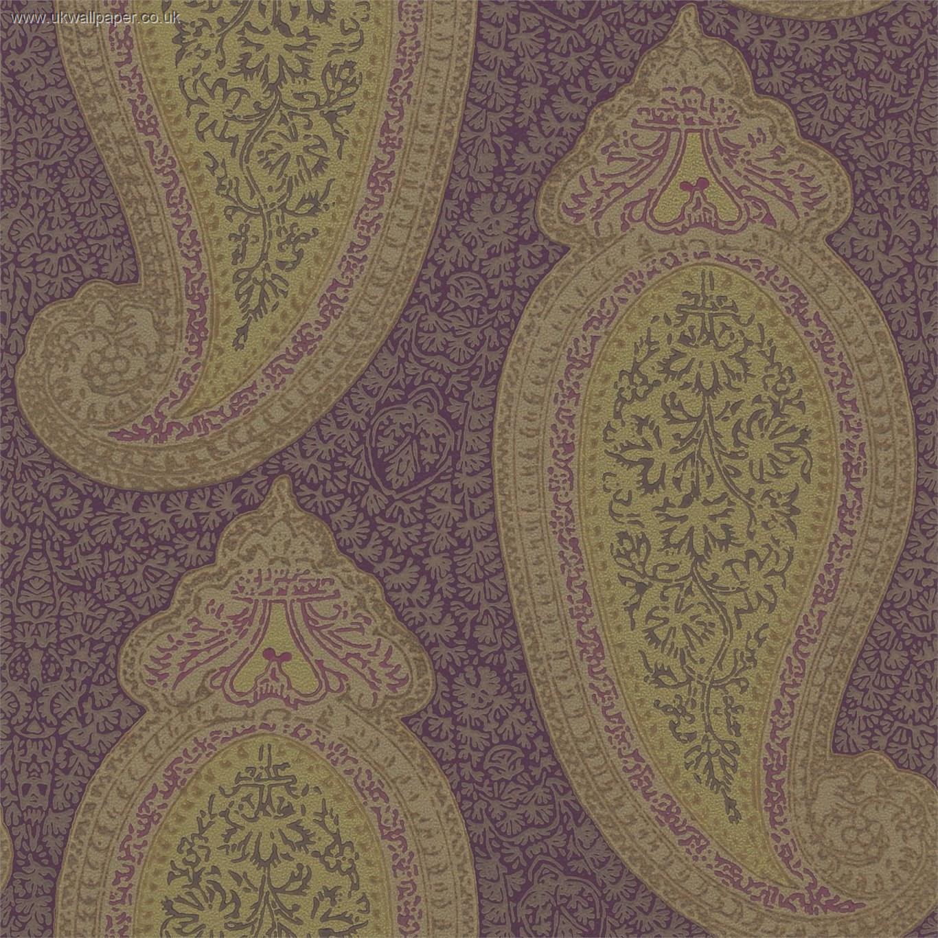 Persian Wallpapers - Top Free Persian Backgrounds - WallpaperAccess