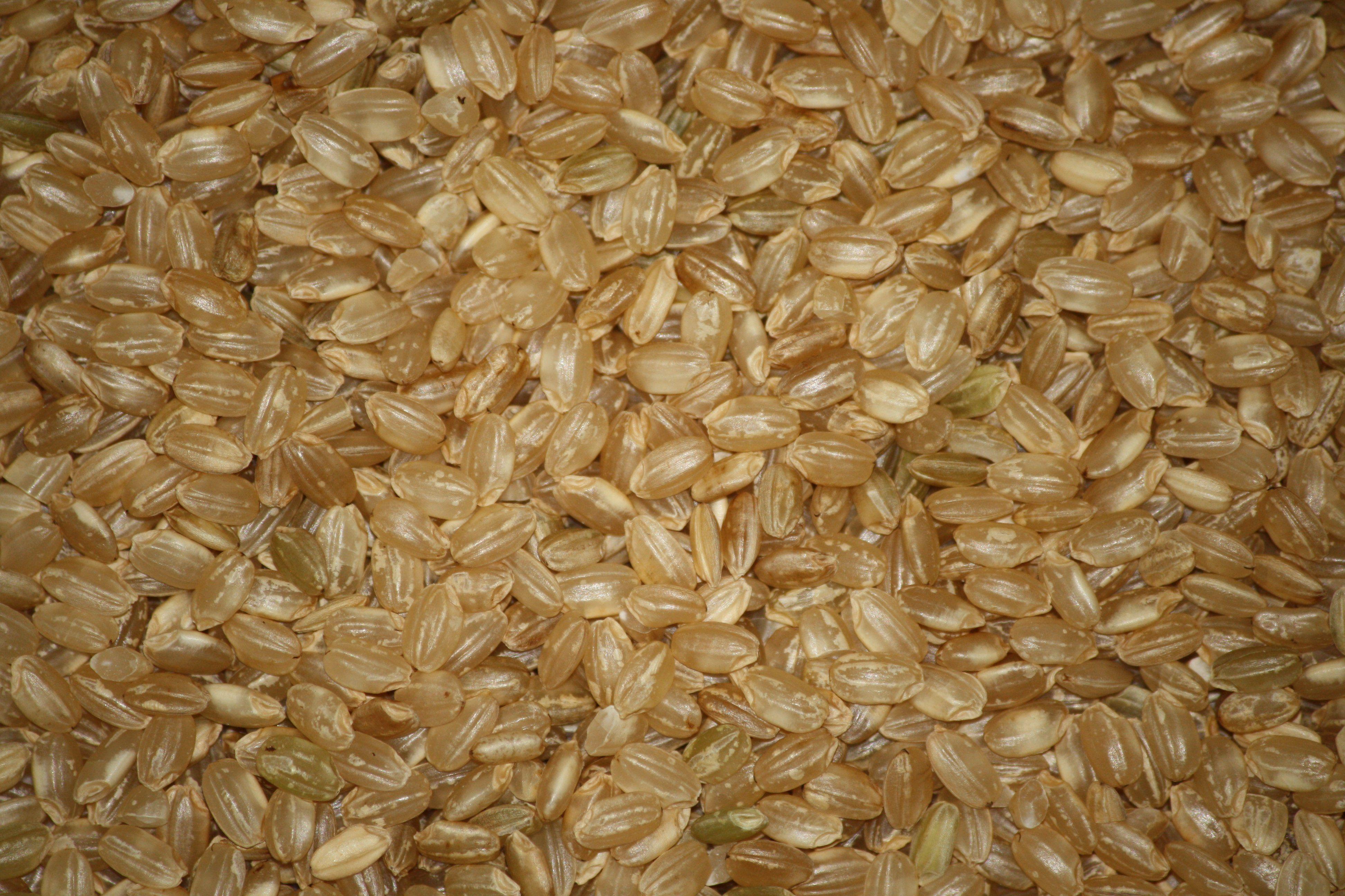 Brown Rice Wallpapers - Top Free Brown Rice Backgrounds - WallpaperAccess